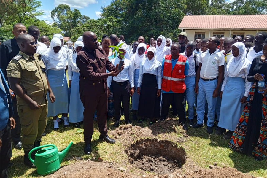 Hoima City Leaders Urge Residents to Protect Planted Trees