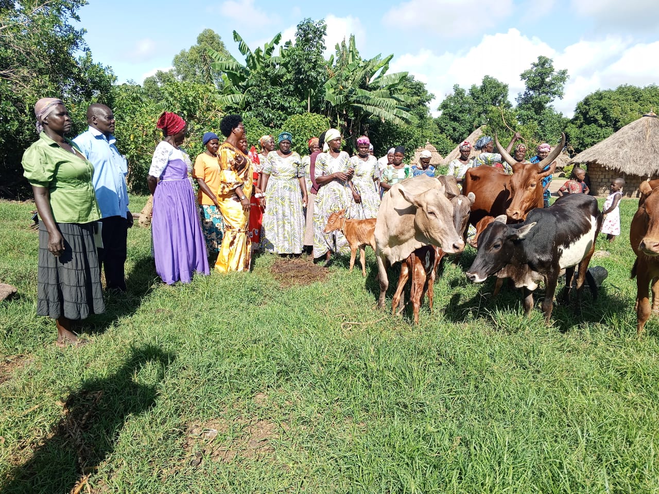 Serere women group grows savings from shs100,000 to farm of nine cows ...