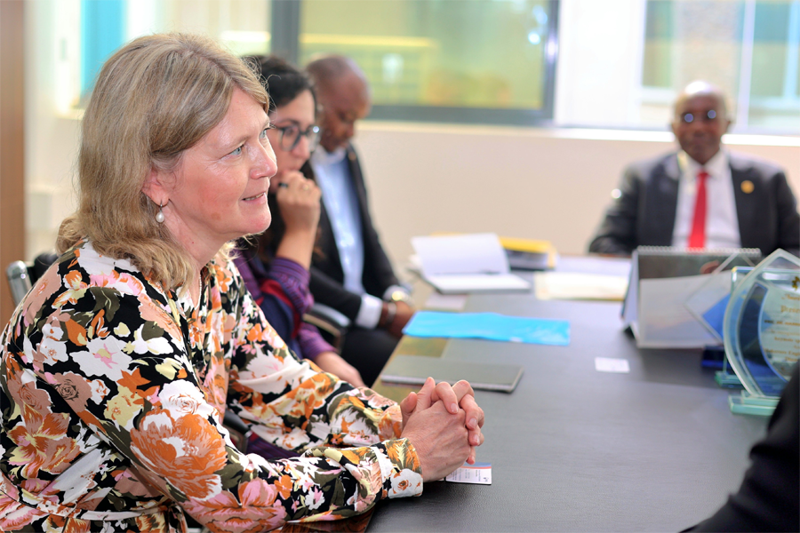 Swedish envoy says involving youth in productive deals can widen tax base