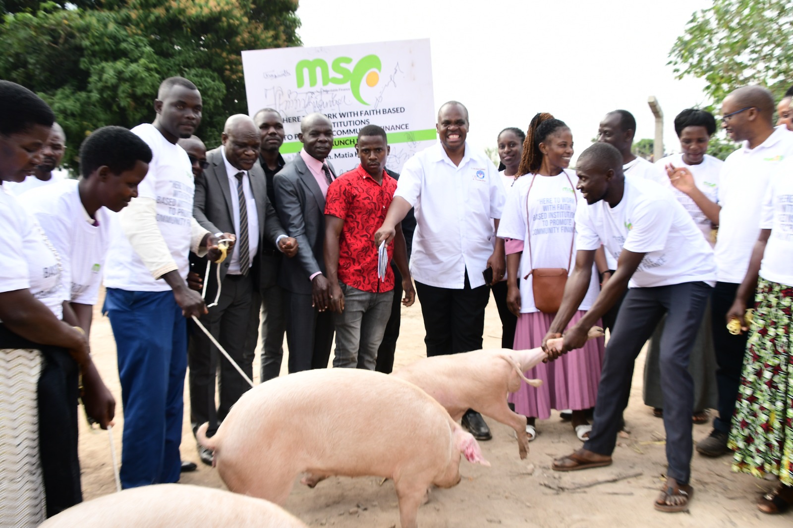 Microfinance Support Centre, Catholic Church launch piggery project in ...