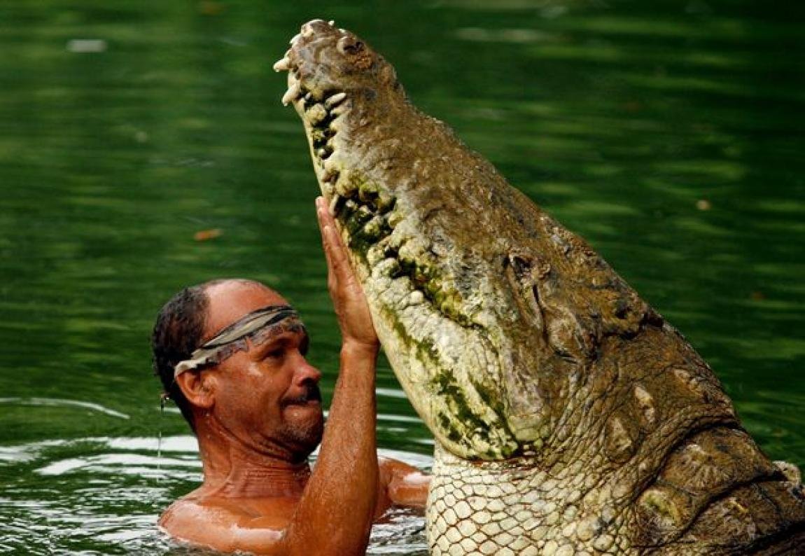 Pocho the Crocodile: How giant croc became a man’s best friend