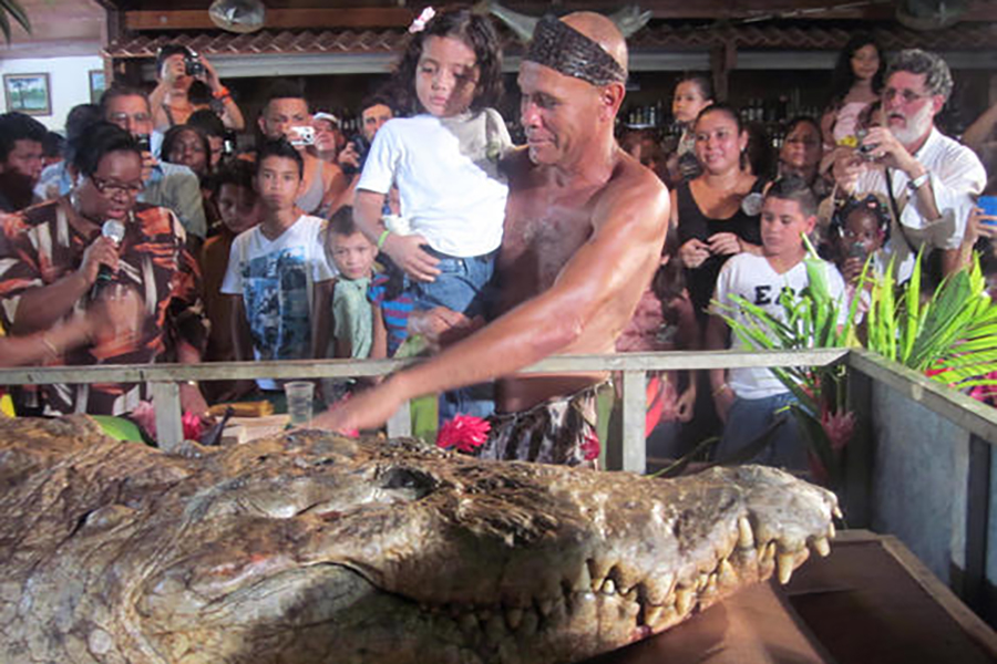 Pocho the Crocodile: How giant croc became a man’s best friend