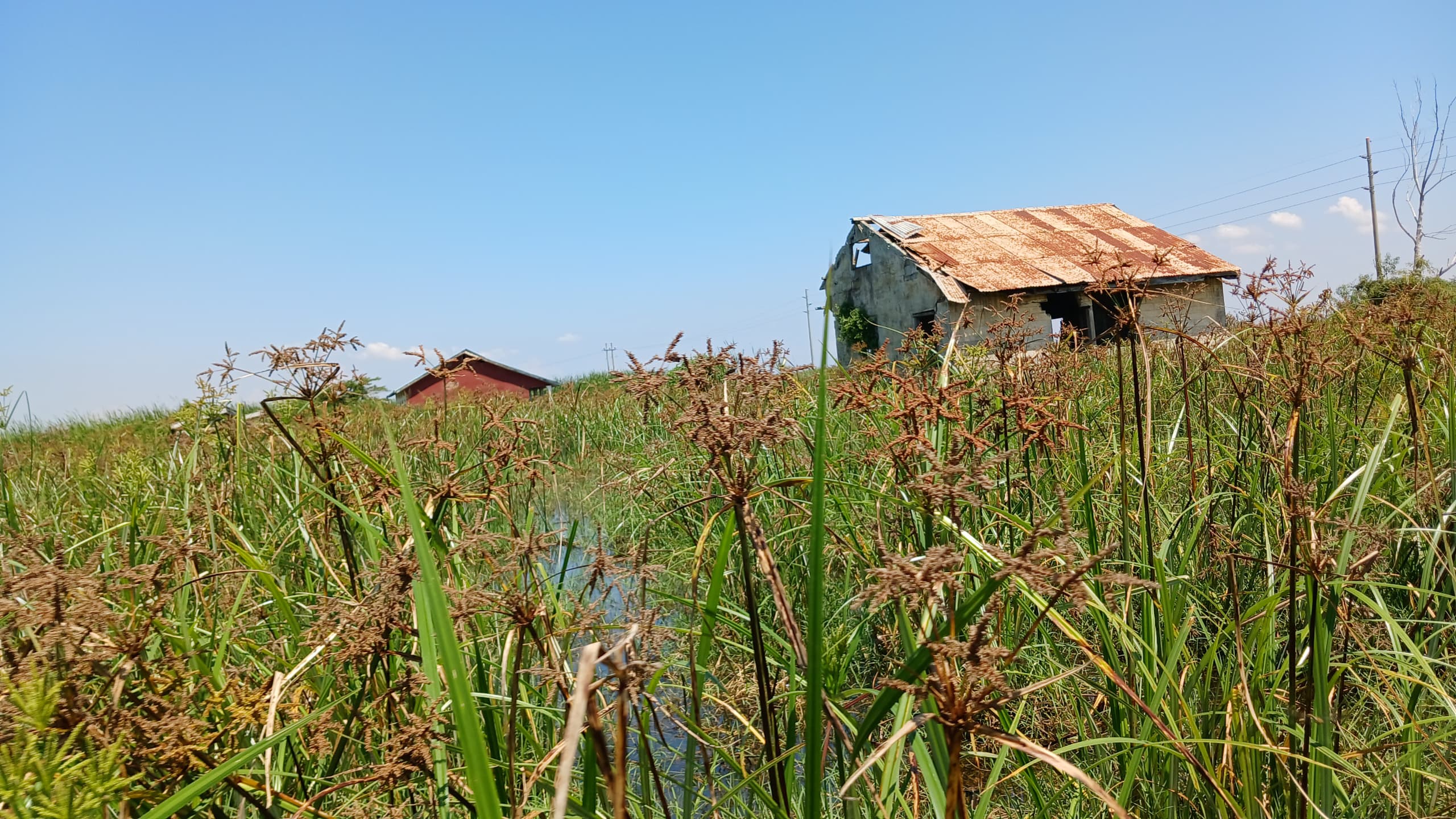 Rising water levels on Lake Kwania continue to wreak havoc in Dokolo