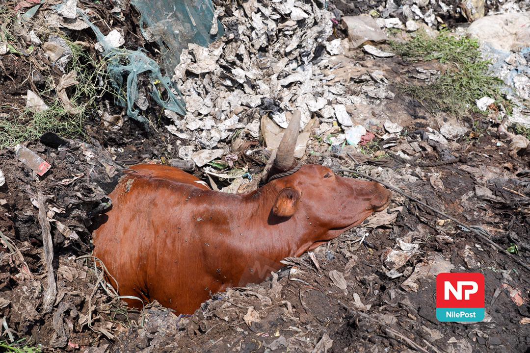 PICTURES: Eight dead, 14 rescued in Kiteezi landfill tragedy