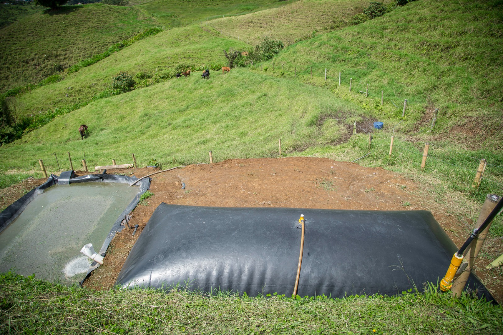 Sistema.bio expands its operations into West , Southern Africa