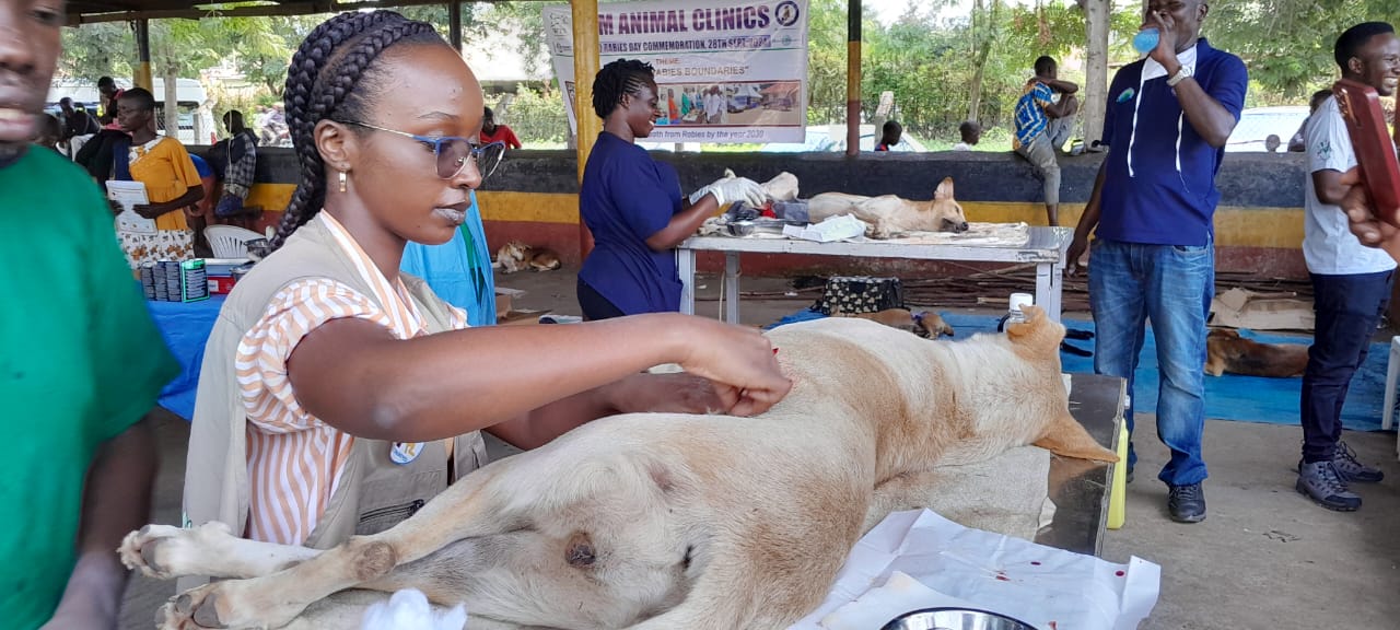 Breaking Rabies Boundaries: A Call for Global Unity on World Rabies Day