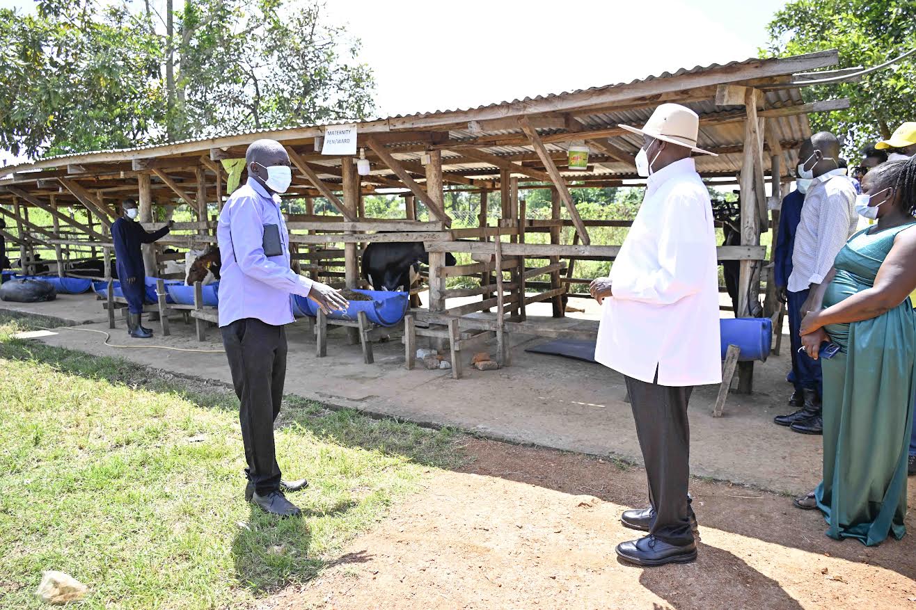 Joseph Ijara: Serere farmer shares story of transformation about ...