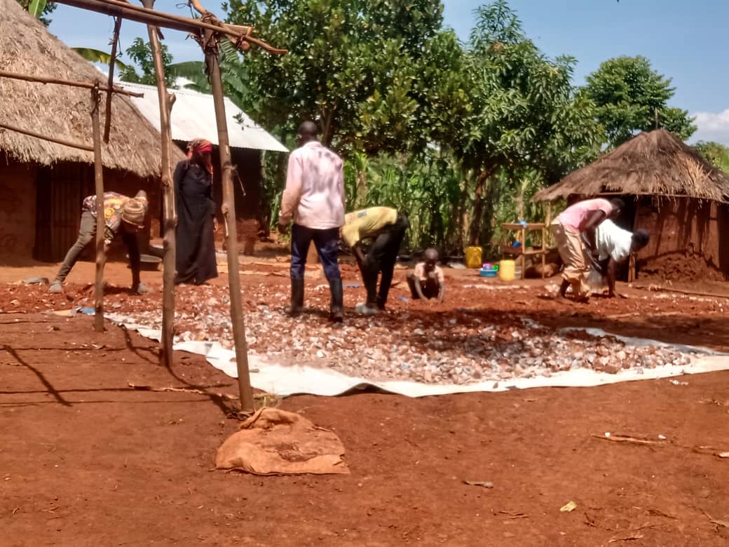 Gold Rush in Namayingo: Hope, Hardship, and the Costs of Unregulated Mining