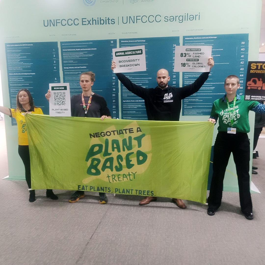 Activists Push for Plant-Based Treaty at COP29 in Baku, Azerbaijan