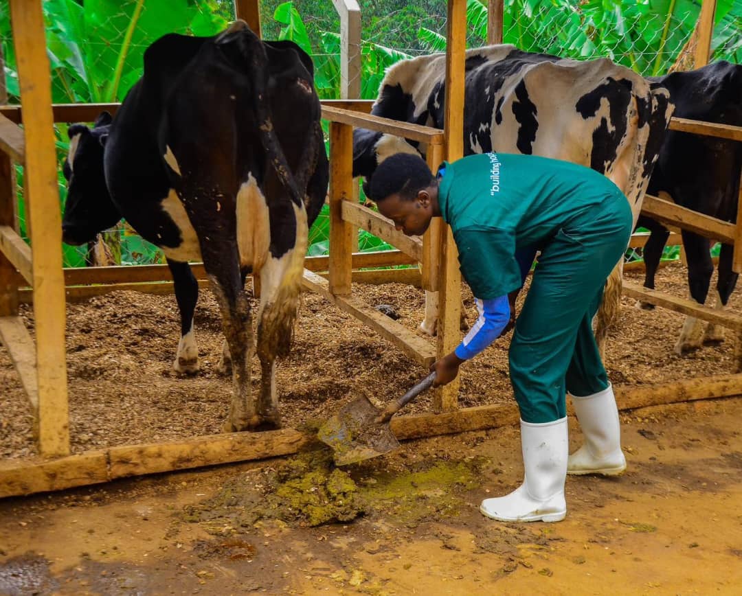 Nature guardians: The unsung heroes of uganda’s biodiversity