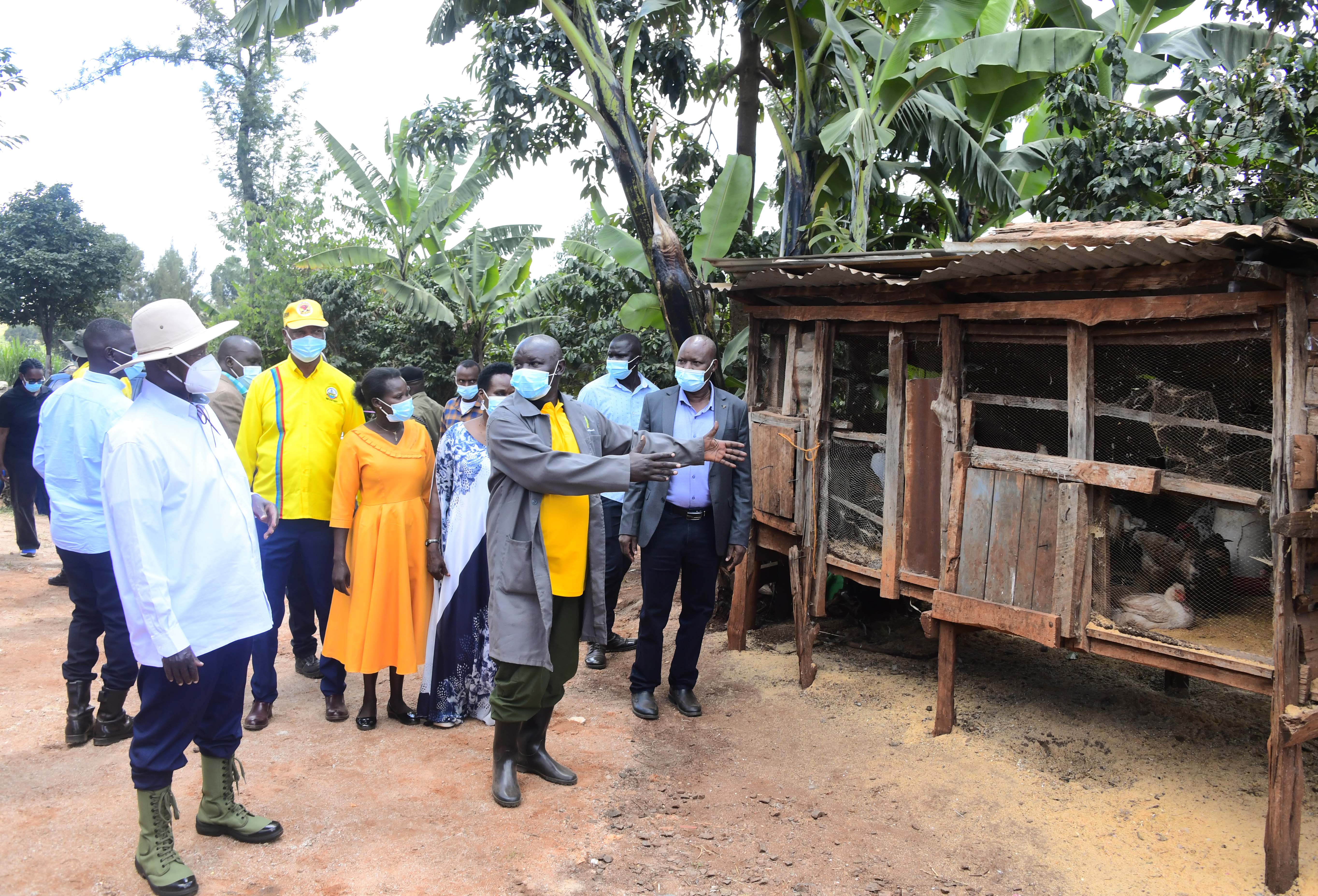 Adoption of four-acre model by Sebei farmers impresses Museveni