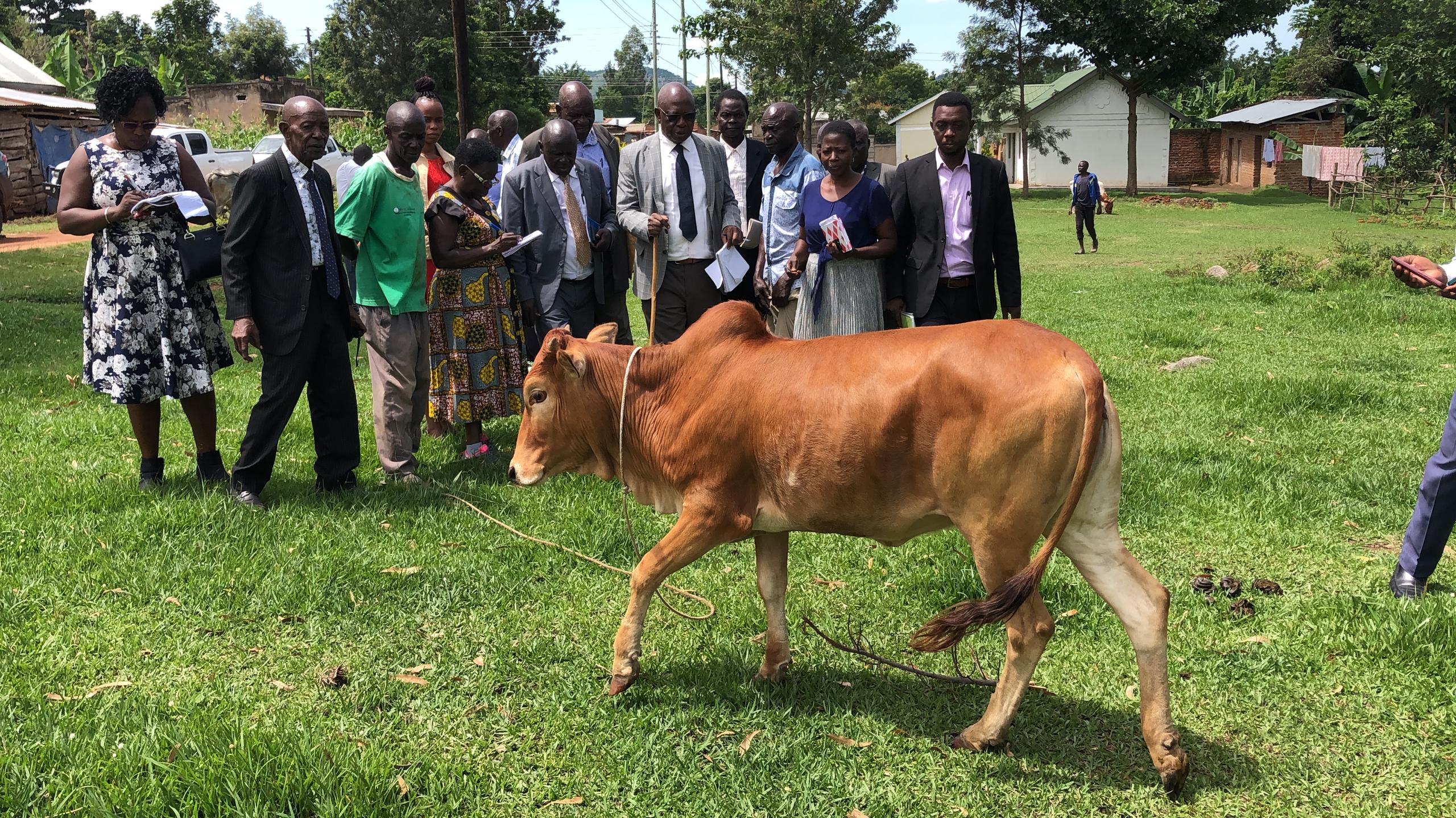 Strategy Flaws Undermine Parish Development Model Success