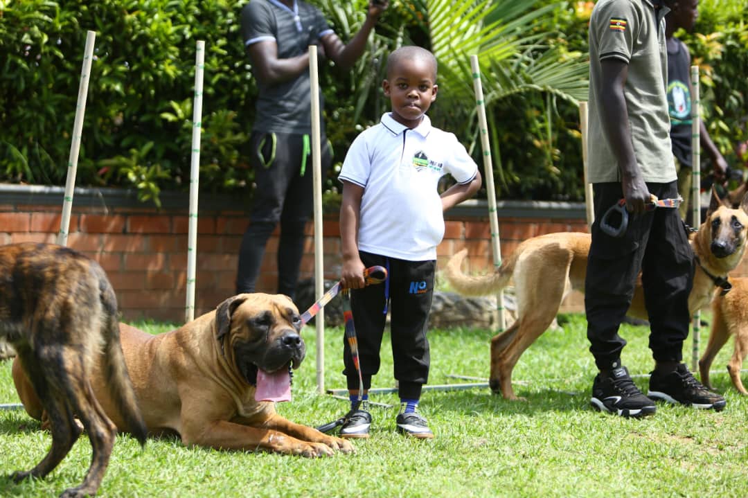 Experts urge pet owners to vaccinate dogs against rabies for health, safety