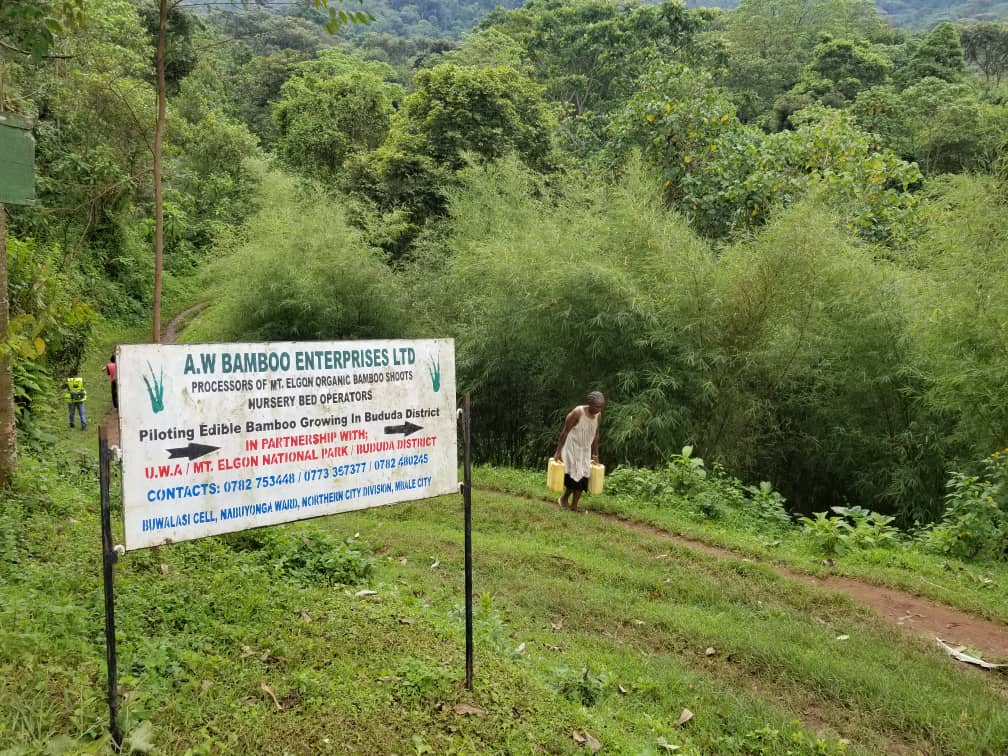 Bududa Leads the Way in Collaborative Conservation
