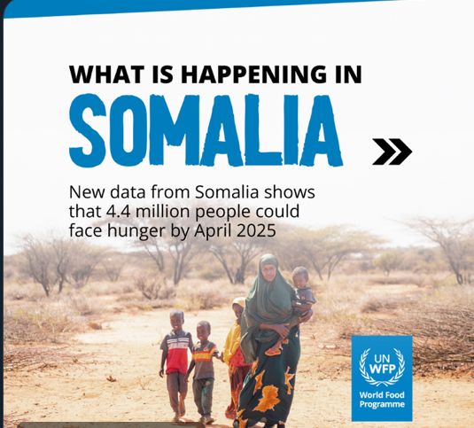 Somalia Faces Looming Hunger Crisis as Drought, Conflict, and High Food ...