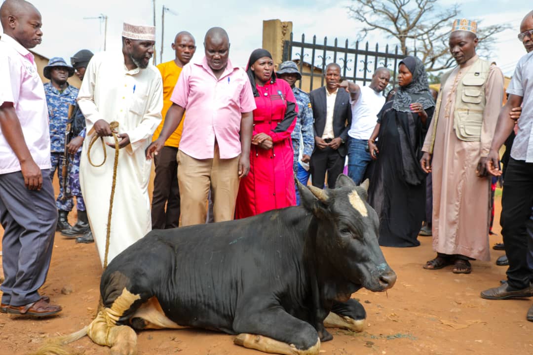 Museveni Donates Cows to Muslims Ahead of Idd Adhuha