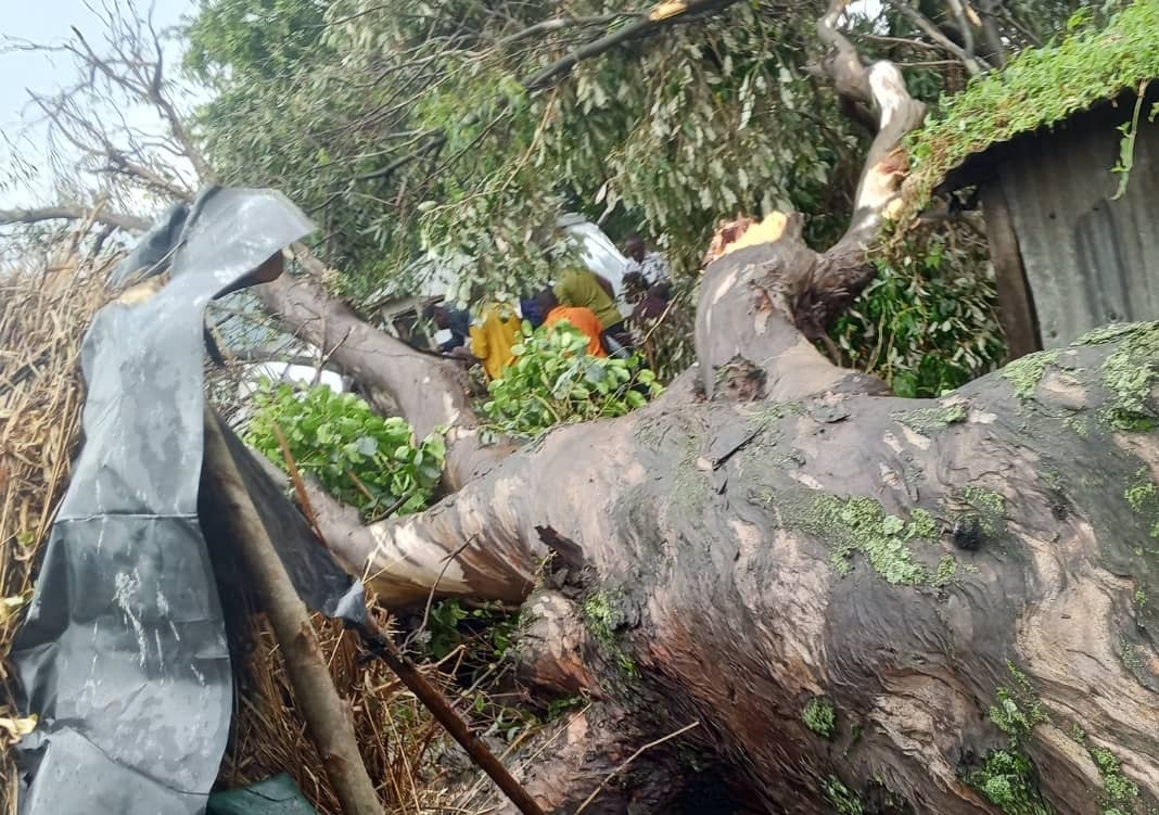 BREAKING: Police Officer Killed by Falling Tree in Kasese Storm