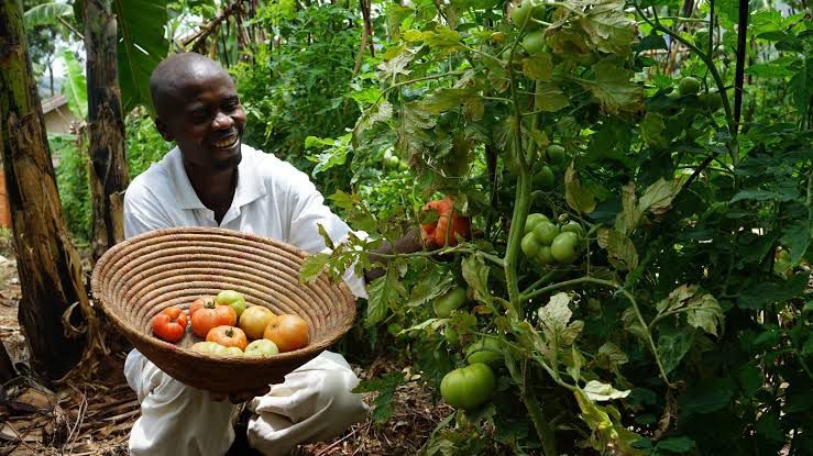 Ex-Minister Sekitoleko Urges Uganda to Strengthen Value Chains to Boost ...