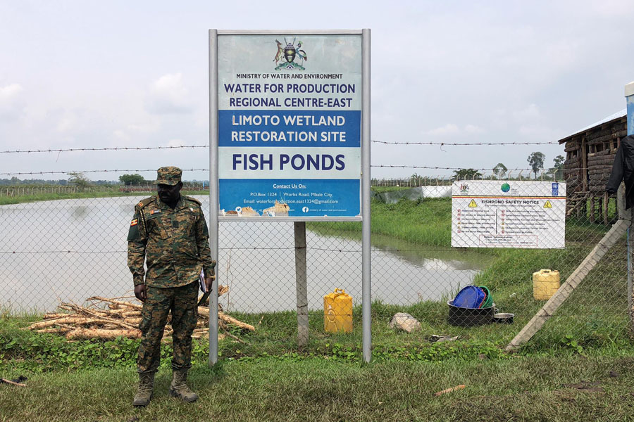 ISO Takes Over Wetland Fish Farming Project After Years of Stagnation
