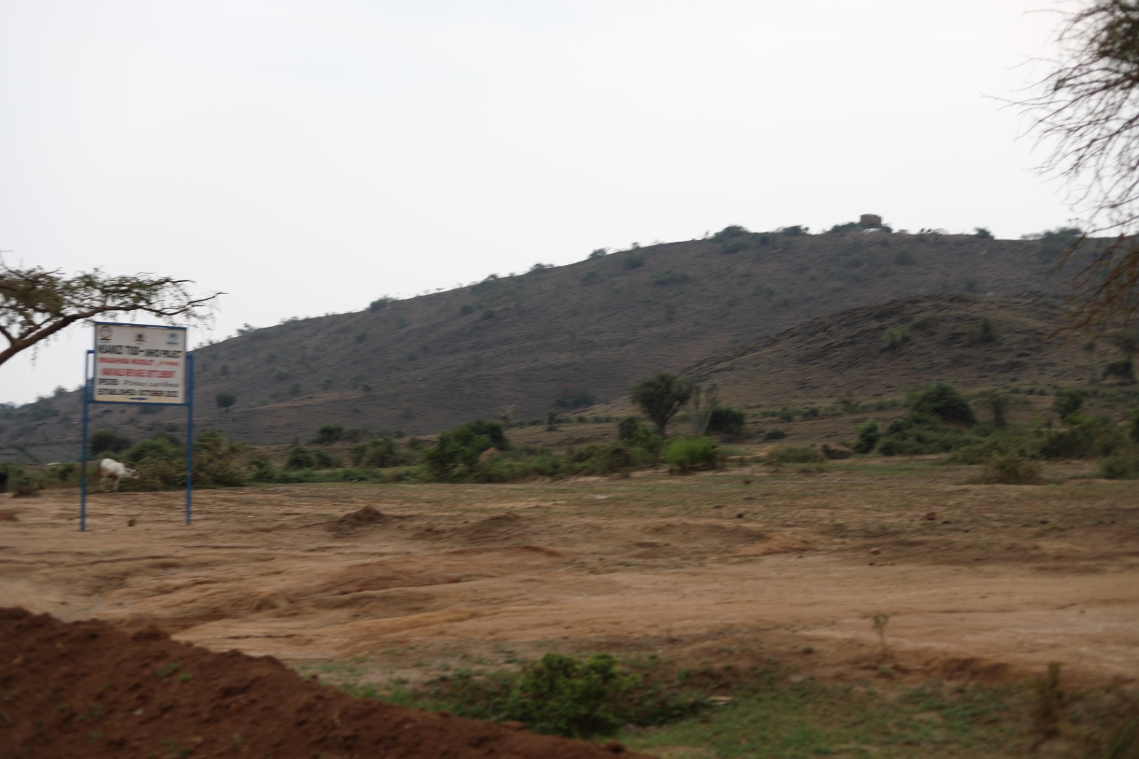 Isingiro Hills Stand Naked, Exposing Uganda’s Refugee–Environment Crunch