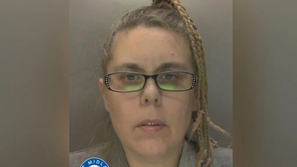 US hitwoman jailed for 30 years over bungled plot