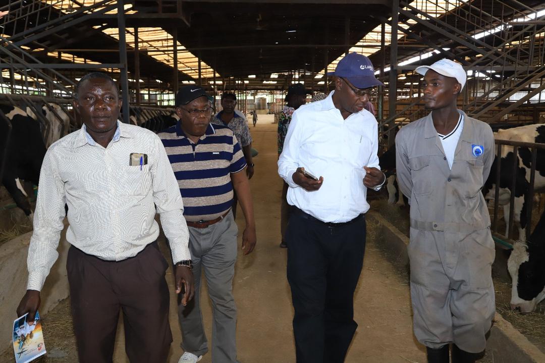 Buganda Farmers Learn Modern Livestock Management on Second Day of ...
