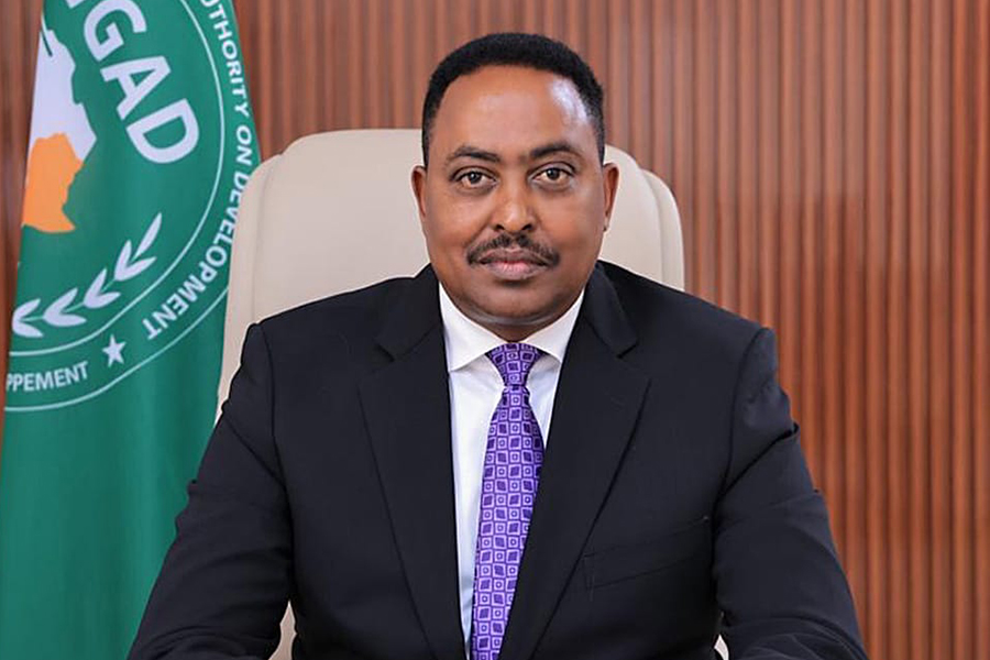 Somalia Parliament Ratifies New IGAD Treaty
