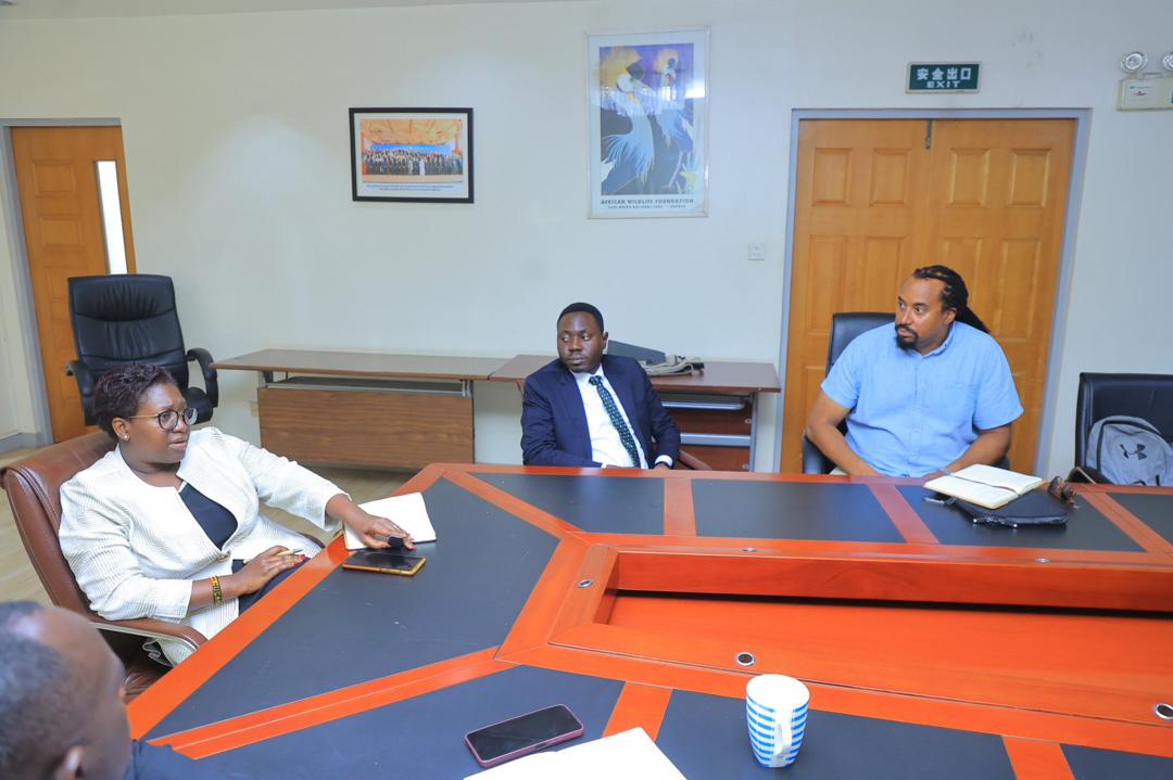 Foreign Affairs, Navio Chart Cultural Diplomacy, Heritage Promotion