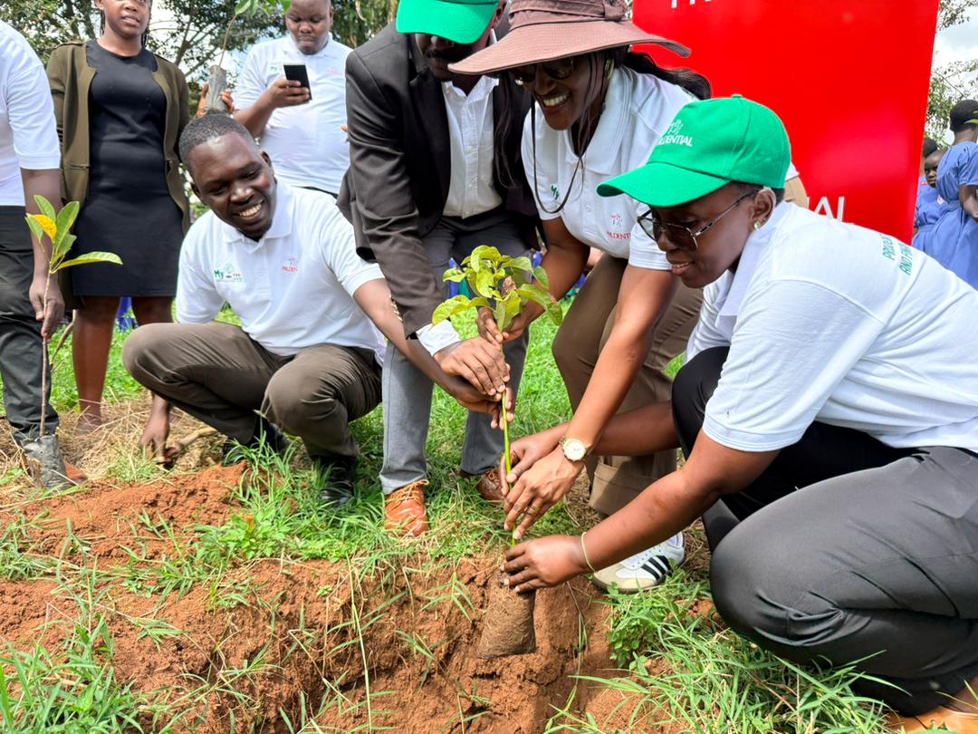 Prudential, My Tree Initiative Launch School Programme to Tackle ...
