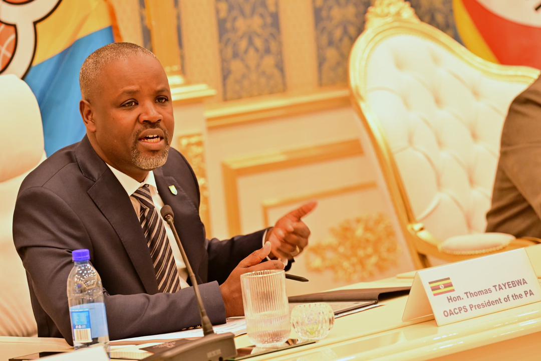 African MPs Push Back Against EU ‘Interference’ in Internal Affairs