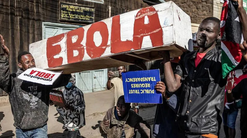 Flavia Nabagabe Kalule - Latest News