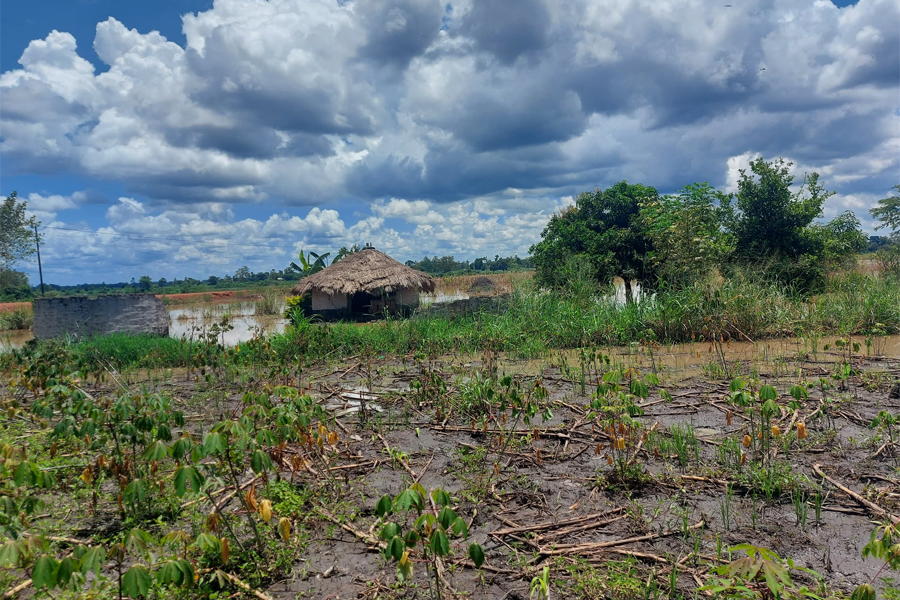 Will Lango humanitarian platform save locals in need?