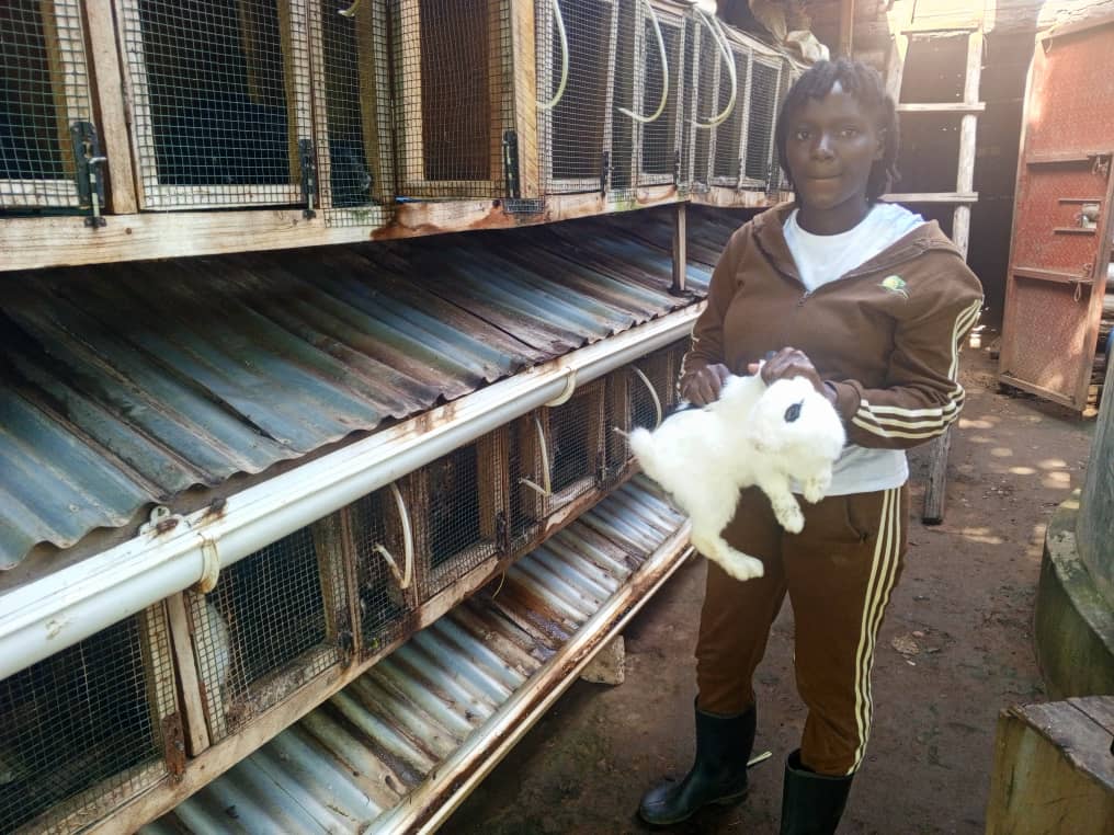 Rabbits give ledgers to Makerere accounts graduate