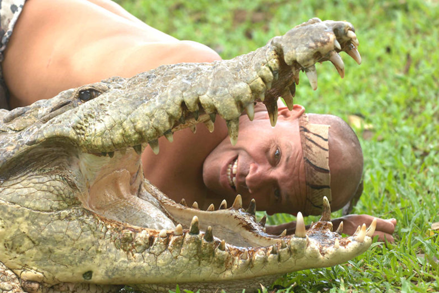 Pocho the Crocodile: How giant croc became a man’s best friend