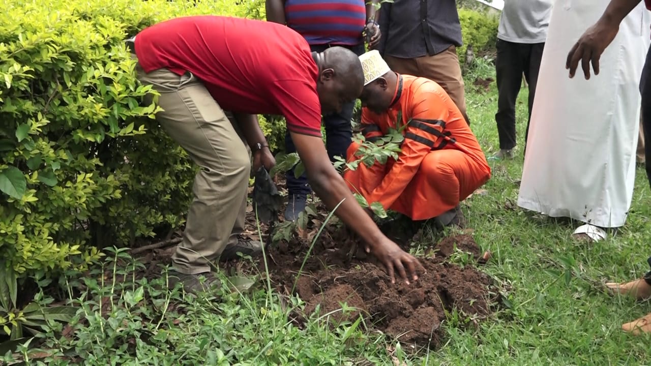 Bushenyi Religious Leaders Say No More Wreaths on Burials, Want Tree ...