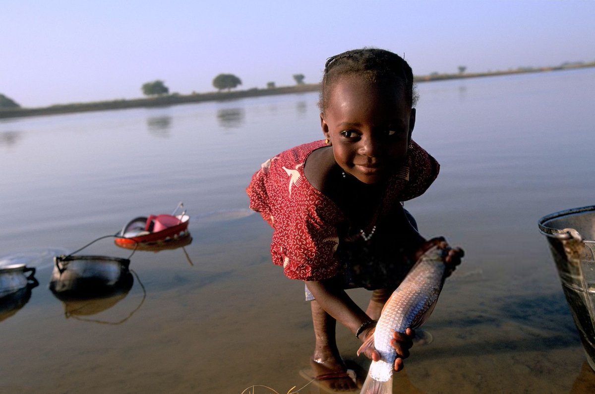 Niger Becomes First African Country to Eliminate River Blindness – WHO