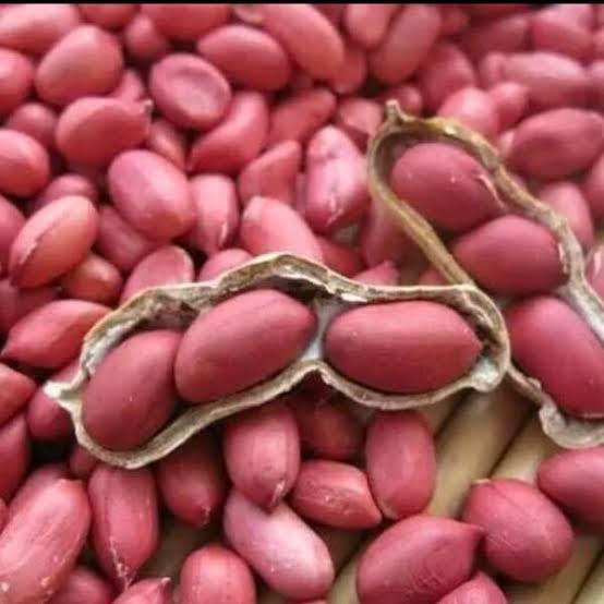 Advocates Applaud Museveni’s Plan to Ban Toxic Groundnuts