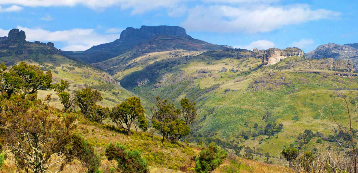 Inside Mount Elgon National Park’s Abandoned Demarcation Efforts