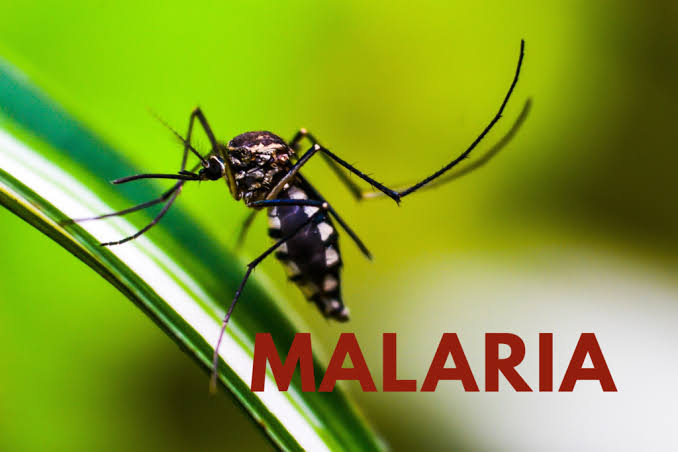 Uganda faces rising malaria cases amidst changing climate and flooding
