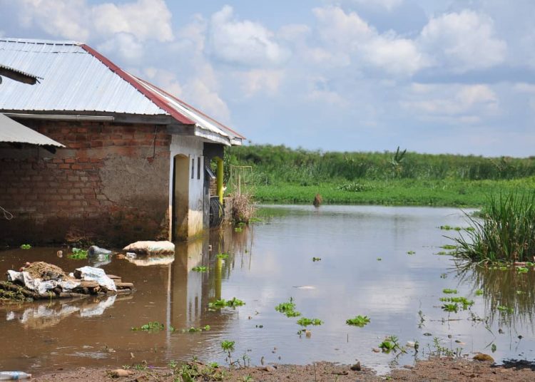 Nile Post - Accurate news fast