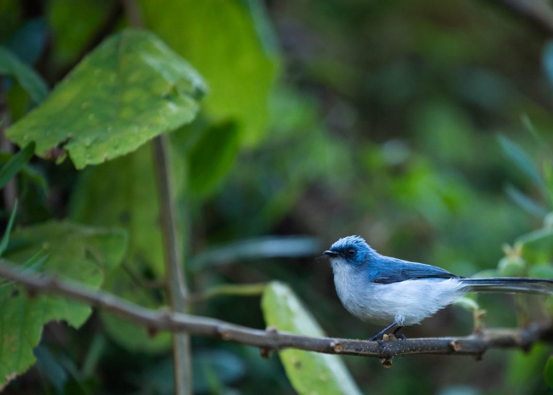 Nile Post - Accurate news fast