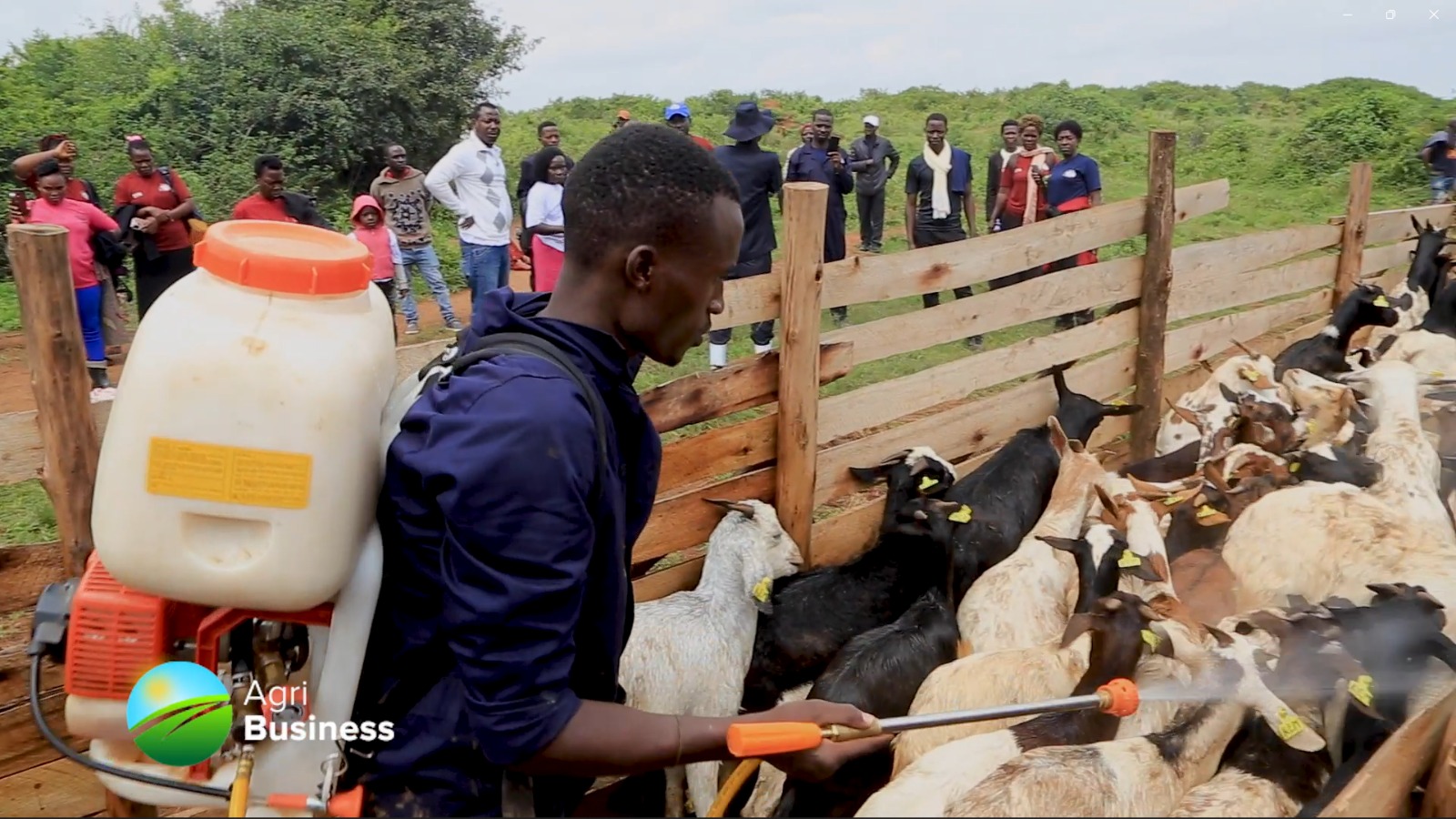 The benefits of contract farming in Uganda