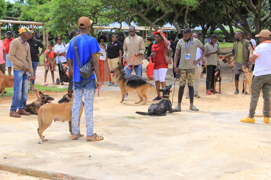First ever dog beach party in Uganda excites revelers