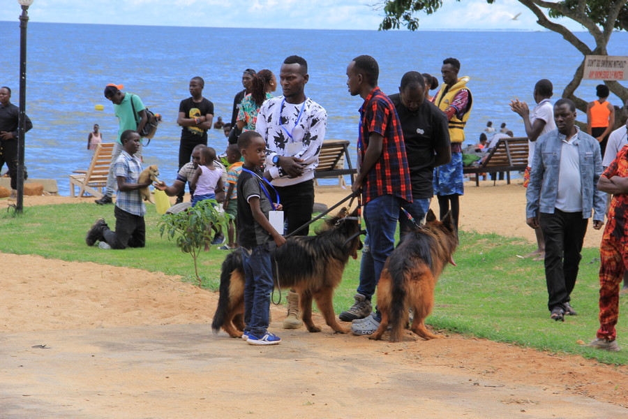 First ever dog beach party in Uganda excites revelers