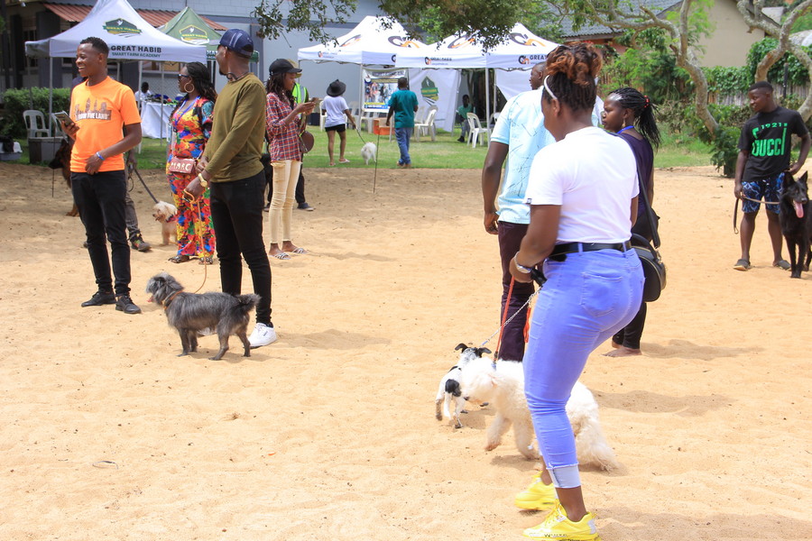 First ever dog beach party in Uganda excites revelers