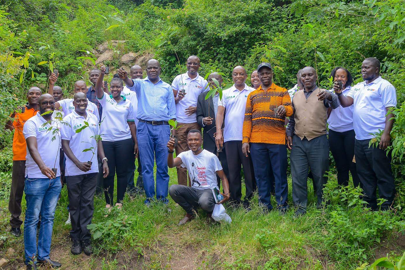 Uganda Baati , NFA replant 10 hectares of trees in Mubuku Forest Reserve