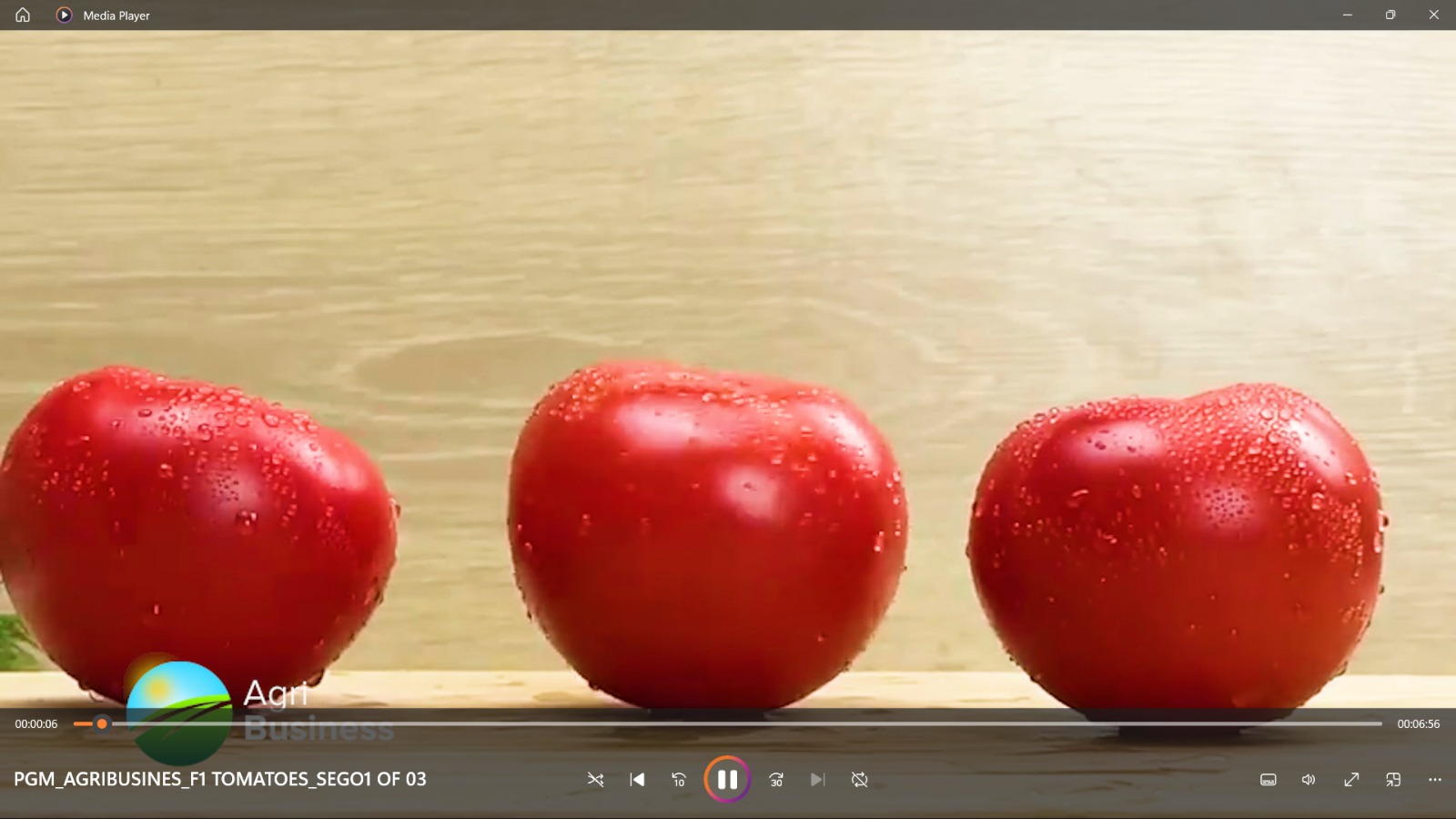 AgriBusiness: Tomato Ansal f1 is a game-changer for farmers in Uganda