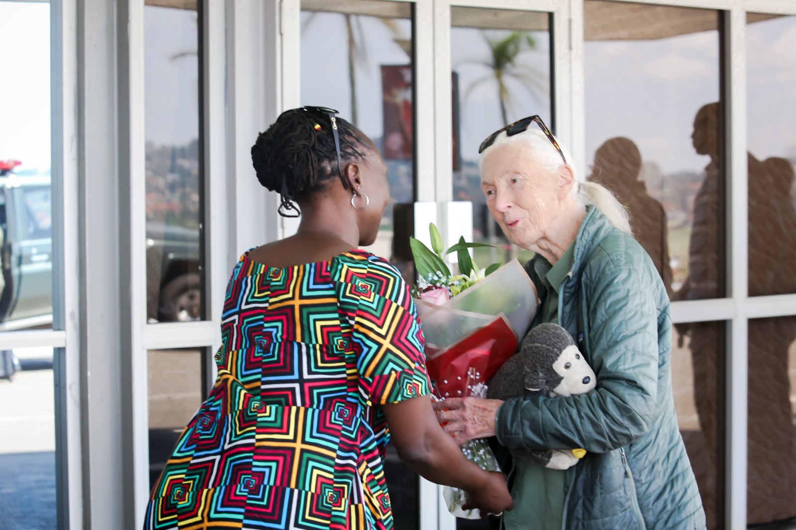 Jane Goodall jets into country ahead of Ngamba chimp sanctuary’s 25th ...