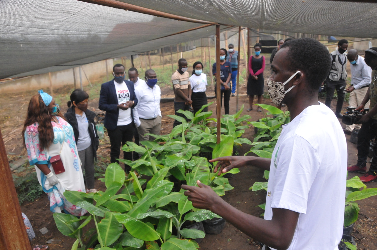 Mitooma: 100 youth plant doctors to be deployed to tackle crop challenges